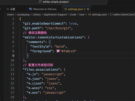 前端 mac环境xcode安装完成后vscode无法出初始化git左下角不展示分支名称问题 个人文章 SegmentFault 思否