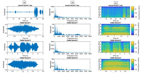 Cattle Vocalization Analysis Represented In A Time Domain B Download Scientific Diagram