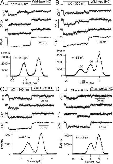 Single Channel MT Currents In Apical IHCs A Recordings From A Download Scientific Diagram