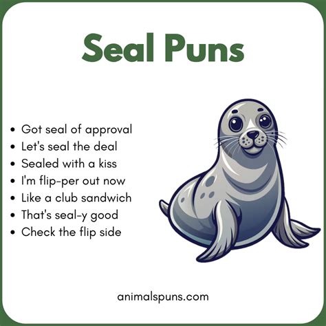 120 Seal Puns That Will Have You Barking Laughing