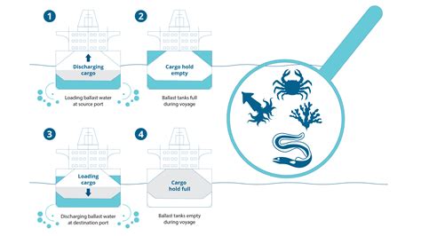 Protecting The Marine Environment Ballast Water Emsa European