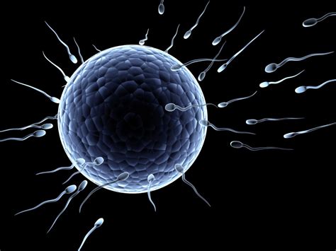 Sperm Abstraction Abstract Bokeh Life Sex Sexual Medical Dna Male Man Men 1sperm