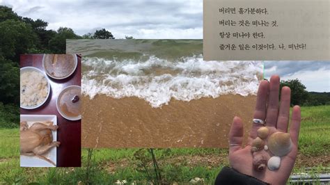 Vlog 여름휴가 Youtube