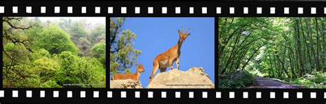 Hyrcanian Forests Natural World Heritage Sites