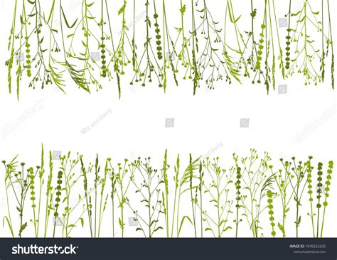 Grassy Background Herbal Borders Rows Natural Stock Vector Royalty
