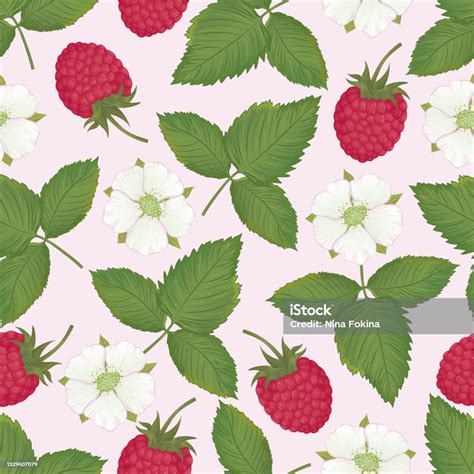 Raspberry Friut Seamless Pattern01 Stock Illustration Download Image