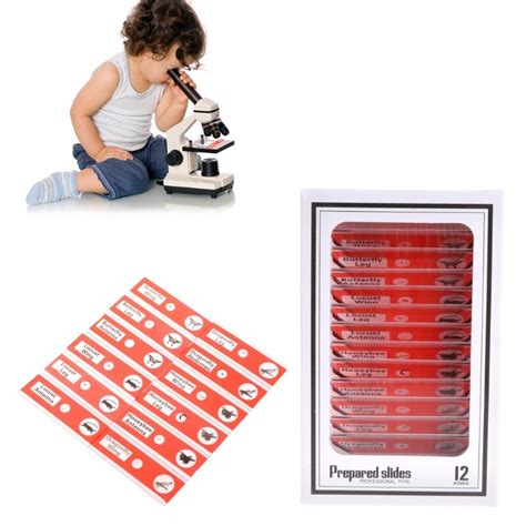 48 Pcs Prepared Microscope Slides Specimen Animals Grandado