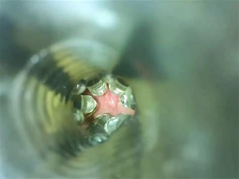 Trans Creator Sex Videos Von Erika Oak Kostenloser Sex XHamster