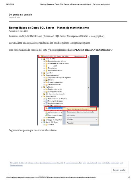 Backup Bases De Datos Sql Server Planes De Mantenimiento Pdf