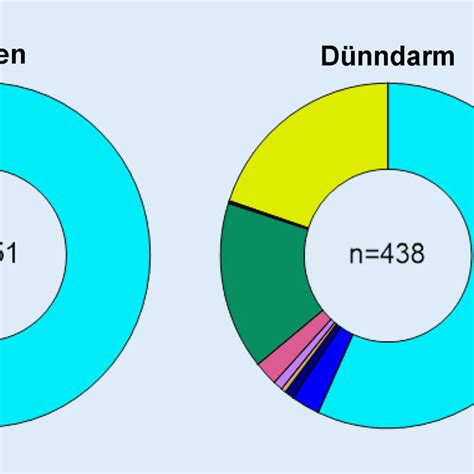 Pathology Of Low Risk Gist Spindle And Epithelioid Types Download Scientific Diagram