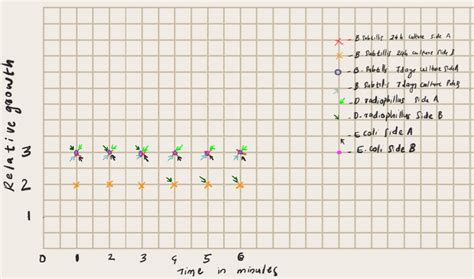 [solved] 5 using the graph paper provided construct a single graph