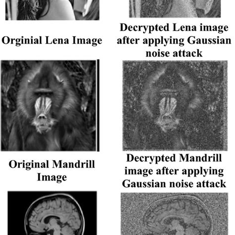 decrypted image under gaussian noise attack download scientific diagram