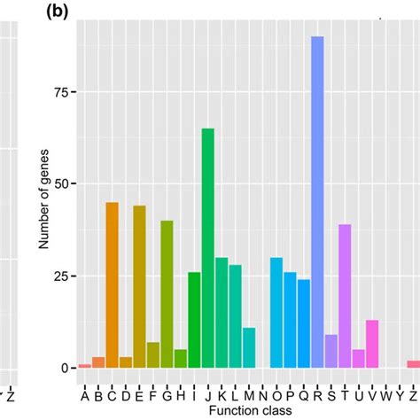 Clusters Of Orthologous Groups Cog Function Classification Of