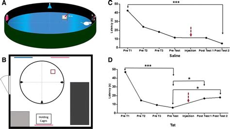 The Mwm Room Design And The Performance Of The Saline Injected Rats And Download Scientific