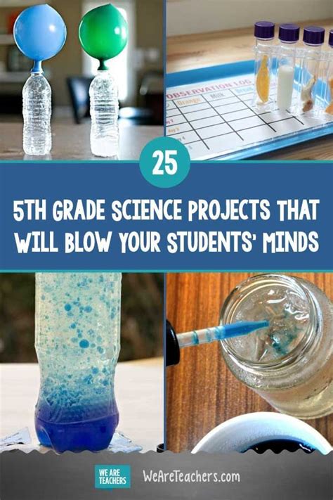 Science Research Projects For 5th Grade At Caitlyn Buvelot Blog