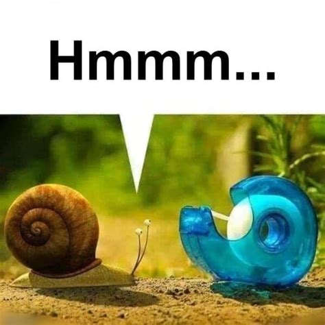 Product Design Meme Rproductdesign