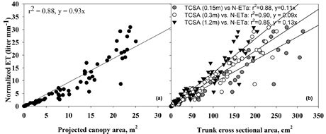 Tree Canopy Size Chart Keski