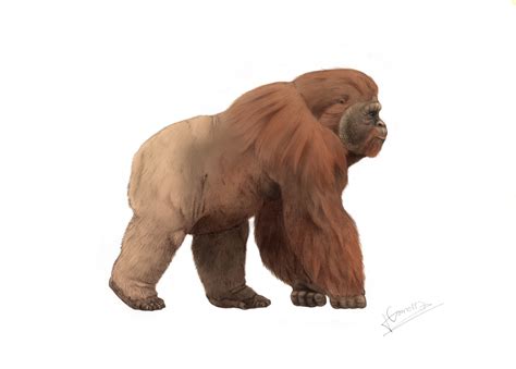 Gigantopithecus Animal Database Fandom Gigantopithecus Animal Database Fandom