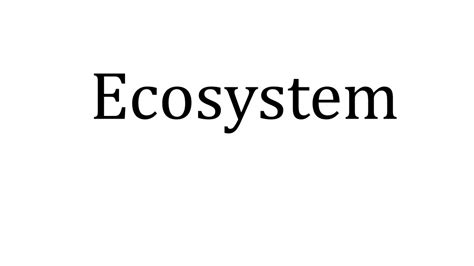 PPT Ecosystem PowerPoint Presentation Free Download ID