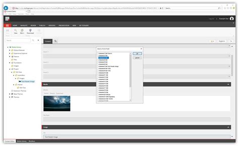 Modifications To Content Editor For Accessibility Input Labels Sitecore Stack Exchange
