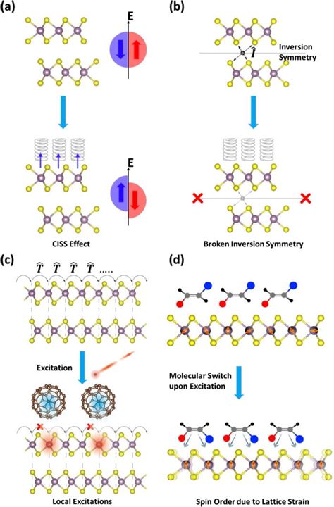 Opportunities For Proximitization In Organic2d Heterostructures A