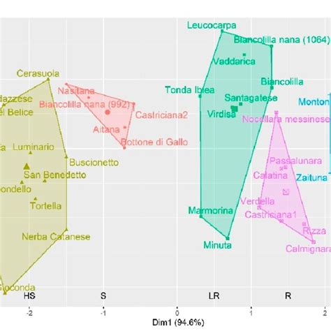 Cluster Graph Produced According To The Disease Intensity Of 36