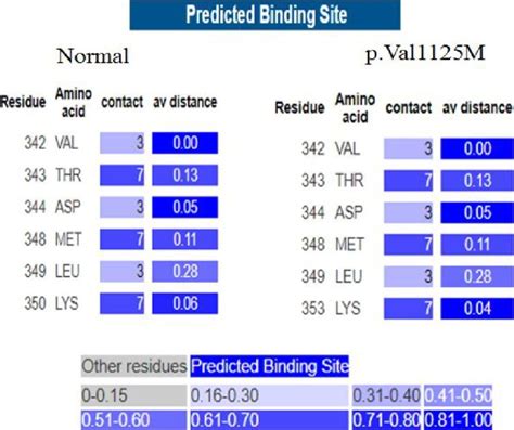 Genotypic Effect Of A Mutation Of The MYBPC Gene And Two Phenotypes With Different Patterns Of