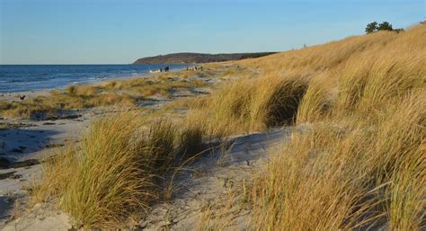 Natur Strand Hiddensee Foto And Bild Deutschland Europe Mecklenburg