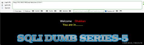 Sqli Labs靶场第5关详解 Sqli Labs Less 5 Sqlilabs靶场5关 Csdn博客