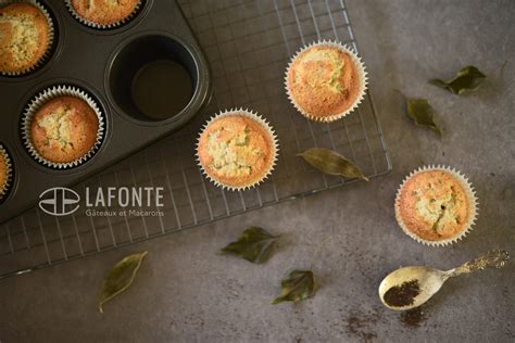 아이포트 토룡토텃밭용 지렁이가 만든 살아 숨쉬는 부식상용토 토룡토란 최고 양질의 청정 원료로 지렁이가 만든 부식상용토를 생산된 분변토로 식물 성장 촉진을 왕성하게