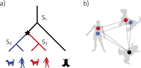 Gene Example