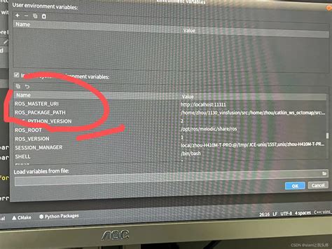 在clion Ide下进行camke控制及rundebug配置。clion Environment Variables Csdn博客