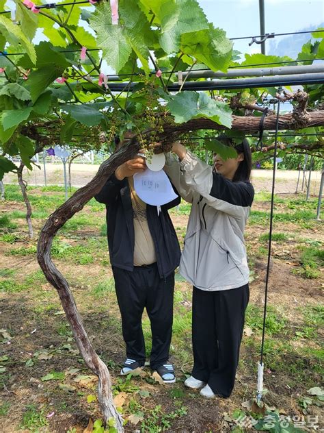 과일나라 테마공원 ‘분양나무 이름표 달기행사