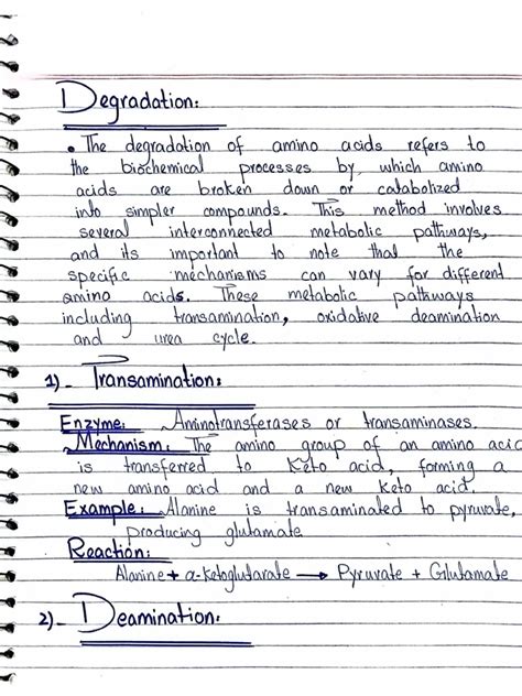 Degradation Of Amino Acids Pdf
