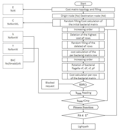 Flowchart Of The Bacterial Algorithm Download Scientific Diagram