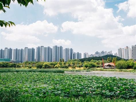 Ansan Travel Guide Top 20 Things To Do In Ansan South Korea