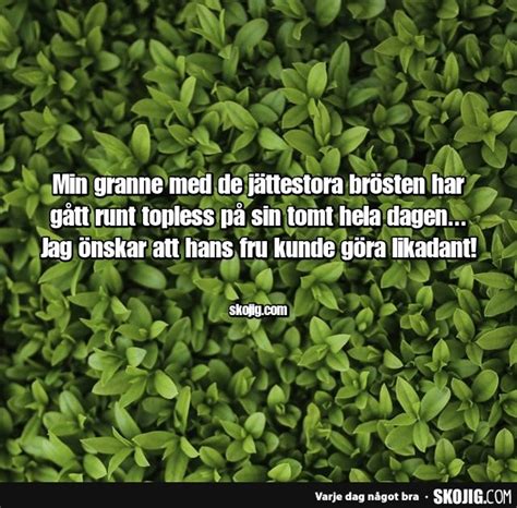Min Granne Med De Skämt Och De Bästa Roliga Bilderna