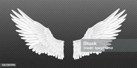 현실적인 천사 날개 흰색 고립 된 팔콘 날개 3d 조류 날개 디자인 템플릿 벡터 개념 천사에 대한 스톡 벡터 아트 및 기타 이미지 천사 두 물체 3차원 형태 Istock