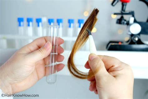 Ultimate Guide To pH And Hair - Shampoo and Conditioner pH ...