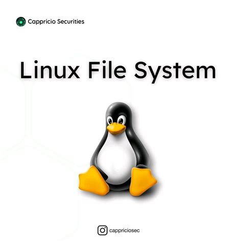 Mohammed Aseem🎖 On Linkedin Linux Filesystem Linuxtips