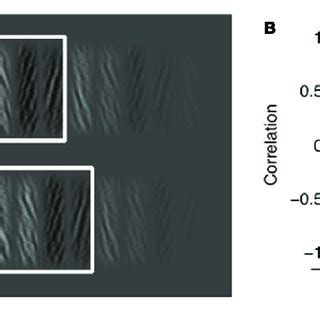 The Cross Correlation Model A Illustration Of The Correlation Download Scientific Diagram