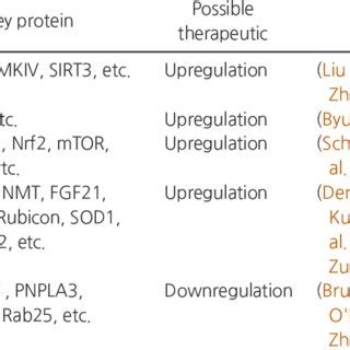 PDF Lipophagy Molecular Mechanisms And Implications In Metabolic Disorders