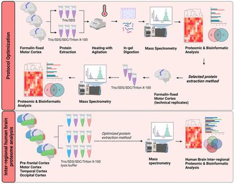 Rakesh Dwivedi📚📚 On Linkedin Inter Regional Proteomic Profiling Of The