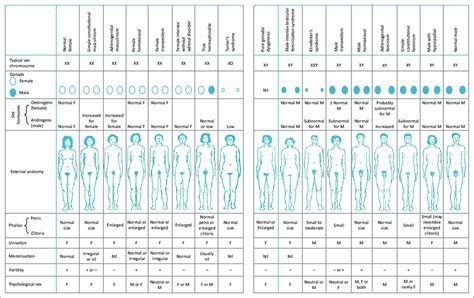 Spectrum Of Human Sexual Characteristics By C N Armstrong Download Scientific Diagram