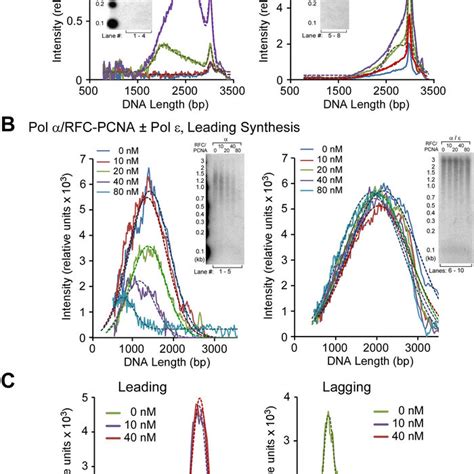 Gimp Windows 7 64 Bits Download For Windows Charatorr Cremoparrapart