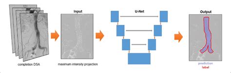 Overview Of Deep Learning Based Segmentation Method With The Maximum