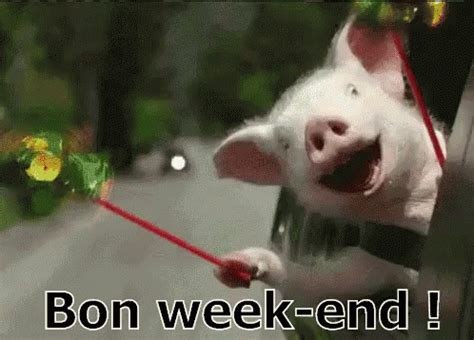 Weekend Animations S And Quotes To Get You Excited For The Weekend