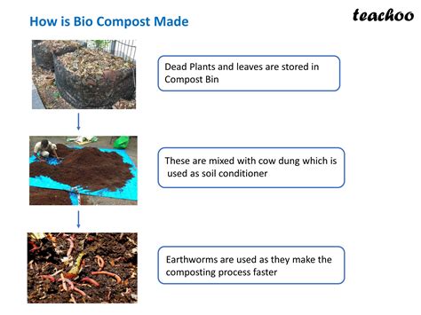 Economics Class 12 Strategy 7 What Is Biocomposting Teachoo