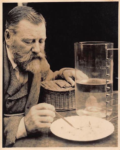 Icons William James Lunn River Keeper Of The Test