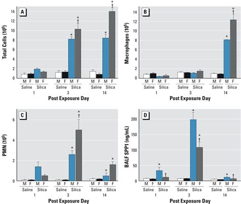 Secreted Phosphoprotein 1 And Sex Specific Differences In Silica